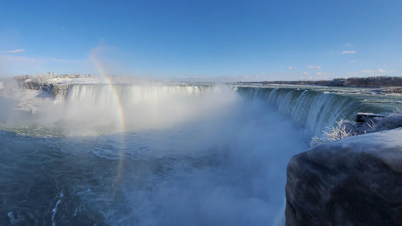 Let it Flow – Roselle